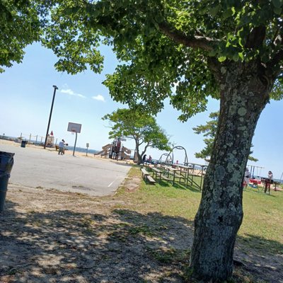 BAY SHORE MARINA - Updated December 2025 - 50 Photos - 142 S Clinton ...