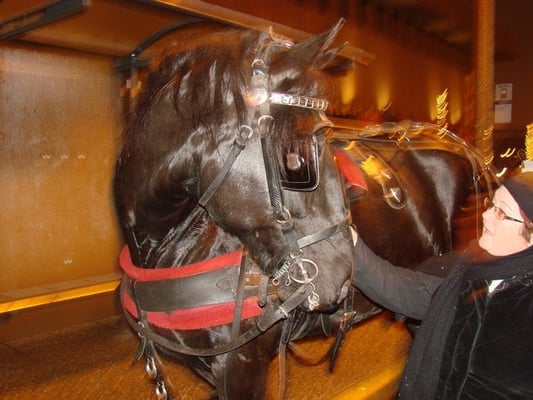 ST LOUIS CARRIAGE COMPANY - Updated October 2025 - 39 Photos & 52 ...