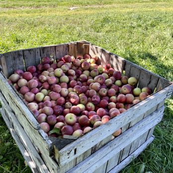 CARVER HILL ORCHARDS - Updated October 2025 - 61 Photos & 62 Reviews ...