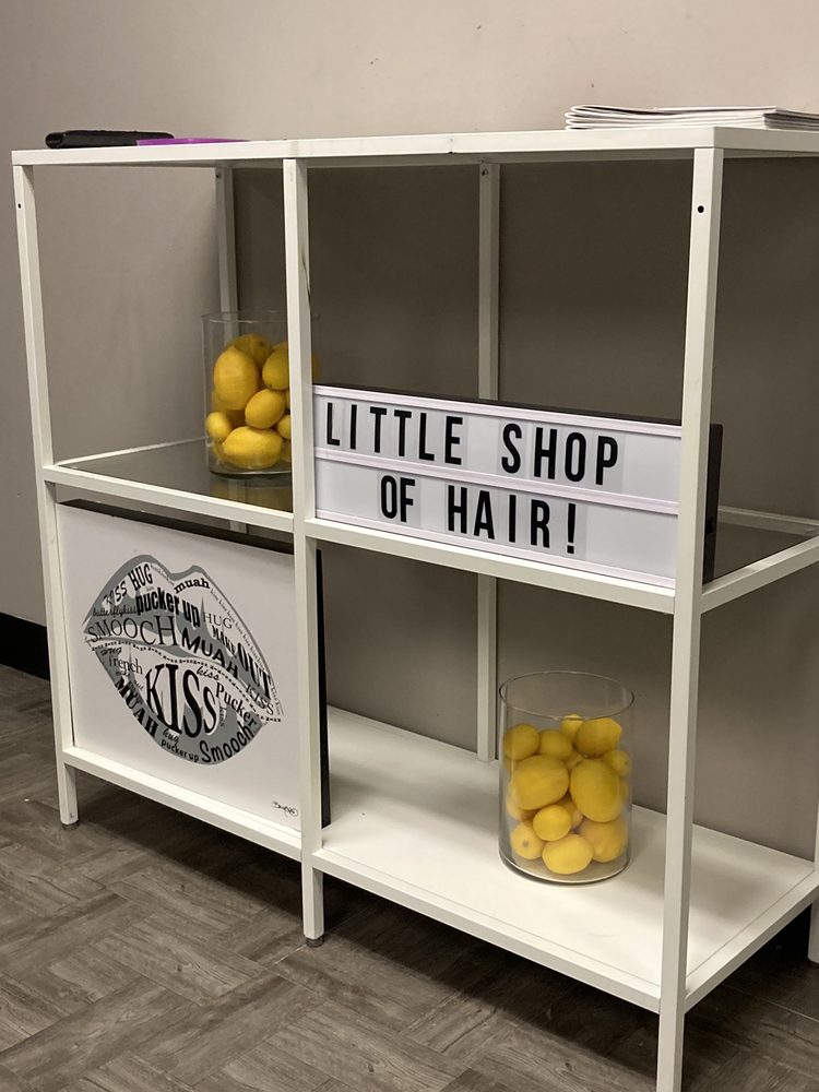 LITTLE SHOP OF HAIR - Updated March 2024 - 8449 W Bellfort Ave, Houston ...