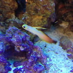 HEMBD D MICHAEL MD - 2801 K St, Sacramento, California - Family ...