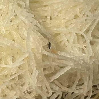 H MART - PLANO - 626 Photos & 250 Reviews - 3320 K Ave., Plano, Texas ...