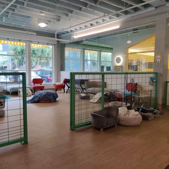 MUTTVILLE SENIOR DOG RESCUE - Updated January 2026 - 356 Photos & 172 ...