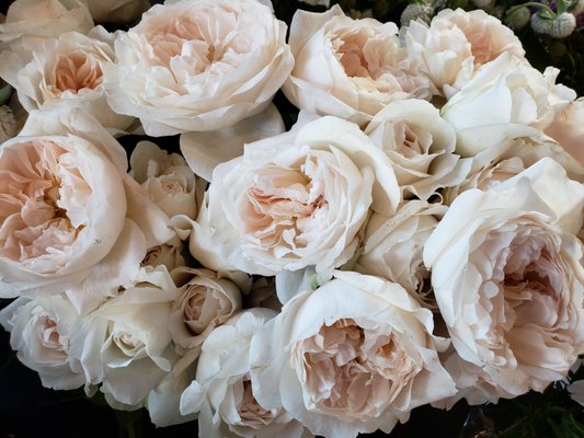 MAYESH WHOLESALE FLORISTS - SEATTLE - Updated November 2025 - 15 Photos ...