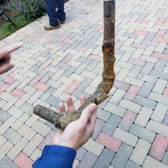 WESTERN ROOTER - Updated June 2024 - 914 Photos & 1308 Reviews - 136 E ...