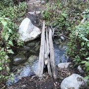 TRAIL CANYON FALLS - 409 Photos & 94 Reviews - Hiking - Trail Canyon Rd ...