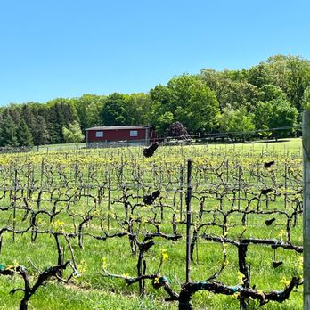 CLOVER HILL VINEYARDS & WINERY - Updated January 2026 - 60 Photos & 46 ...