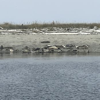 PUGET SOUND EXPRESS - Updated May 2025 - 184 Photos & 81 Reviews - 459 ...