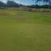 BAYVIEW GOLF COURSE - 110 Photos & 83 Reviews - Golf - 45-285 Kaneohe ...