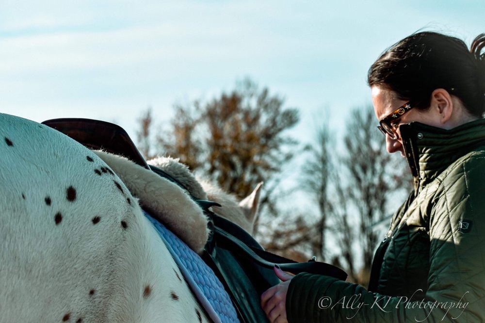 WYN FARM - Updated October 2025 - 10 Photos - 3100 Noble Rd ...