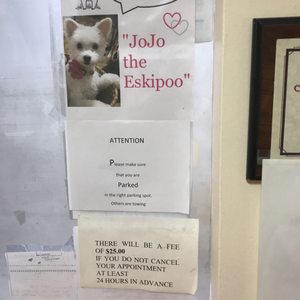 BETH BRAVER, MD - Updated December 2025 - 20 Reviews - 20950 NE 27th Ct ...