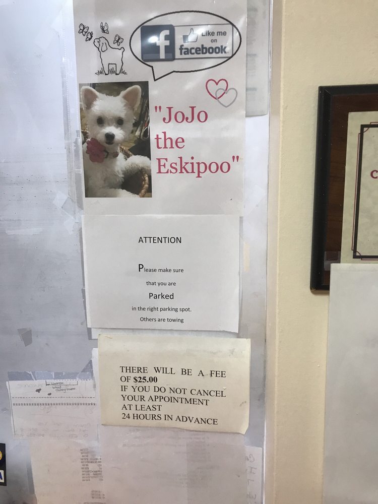 CATHERINE M KIRCHNER, MD - Updated January 2026 - 40 Reviews - 1048 ...