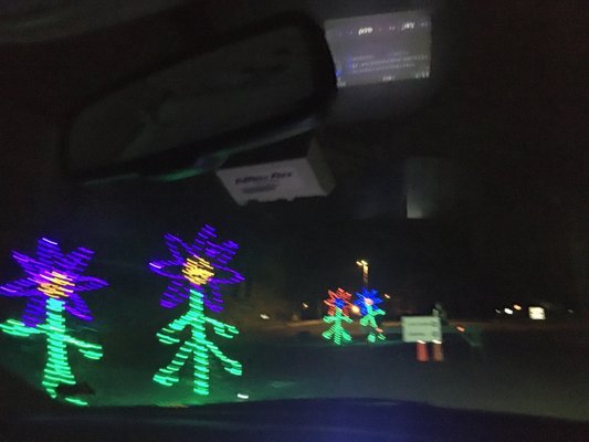 BULL RUN FESTIVAL OF LIGHTS - Updated December 2024 - 344 Photos & 130 ...