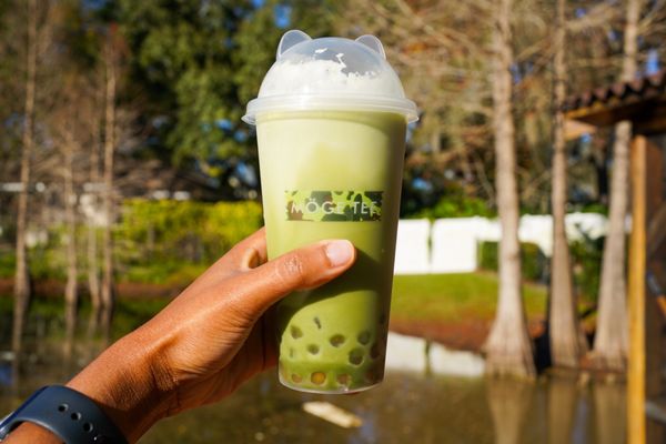 MOGE TEE - TAMPA - Updated January 2025 - 192 Photos & 81 Reviews ...