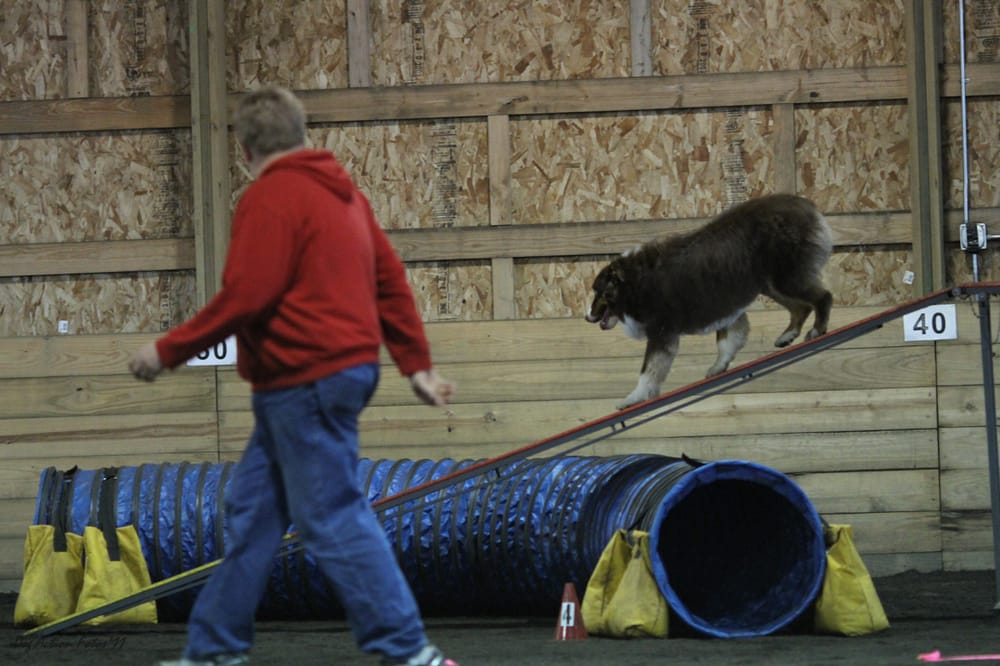 SEATTLE AGILITY CENTER - Updated October 2025 - 24 Reviews - 19313 Renton Maple Valley Rd SE ...