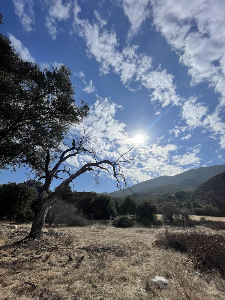 WILDERNESS GARDENS PRESERVE - Updated August 2025 - 109 Photos & 20 ...