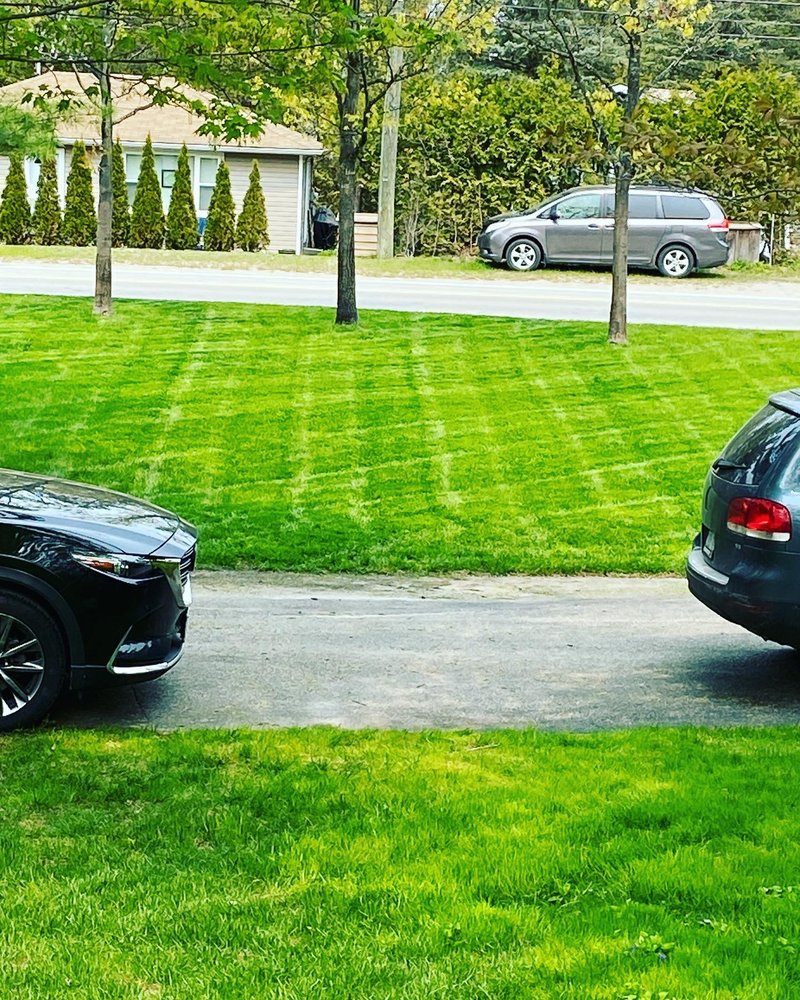 NORTH EVERGREEN LAWN GARDEN LANDSCAPING - Updated June 2025 - Request a ...