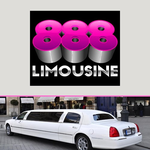888 LIMOUSINE - Updated August 2024 - 13 Photos - 31 rue Labrouste ...