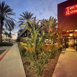 TACO ROSA - Updated April 2025 - 1289 Photos & 1632 Reviews - 13792 ...