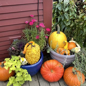 DOC PONDS with photos - Updated August 2024 - 558 Photos & 732 Reviews ...