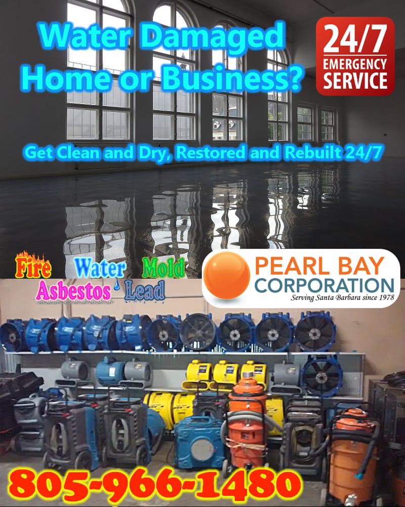 PBC LOCAL MOLD TESTING, WATER DAMAGE - Updated May 2025 - 11 Reviews ...