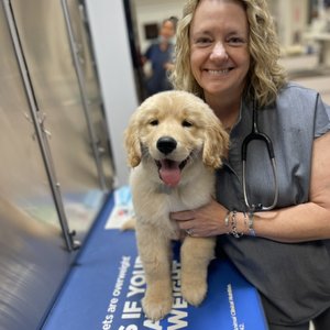 SUNSET ANIMAL HOSPITAL - Updated August 2025 - 137 Photos & 437 Reviews ...