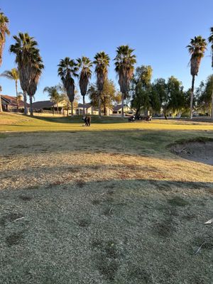 MENIFEE LAKES COUNTRY CLUB - Updated October 2025 - 70 Photos & 99 ...