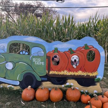 SECOR FARMS - Updated March 2025 - 237 Photos & 80 Reviews - 168 ...
