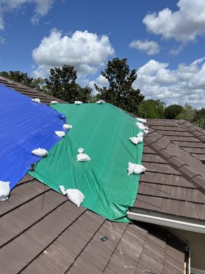 BLUE TARP EXPRESS - Updated August 2025 - 20 Photos - Apopka, Florida ...
