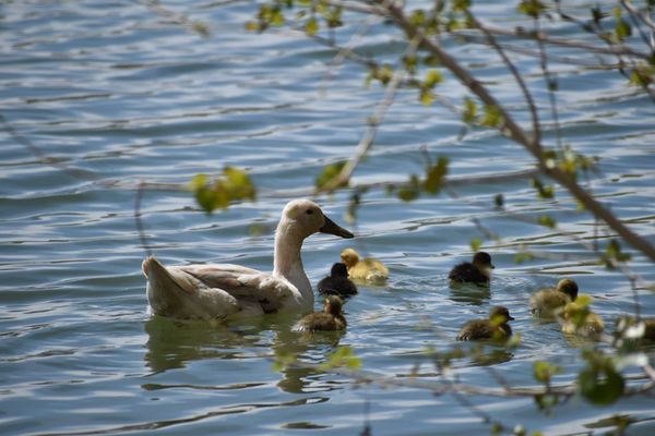 FLOYD LAMB PARK AT TULE SPRINGS - Updated January 2026 - 1418 Photos ...