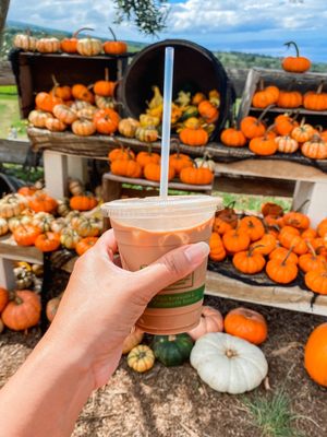 KULA COUNTRY FARMS - Updated July 2024 - 914 Photos & 123 Reviews ...