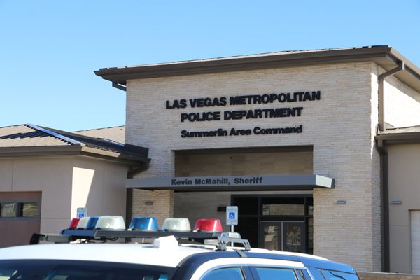 LAS VEGAS METROPOLITAN POLICE DEPARTMENT-SUMMERLIN AREA COMMAND ...