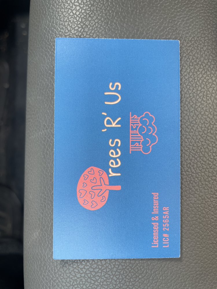 TREES ‘R’ US - Updated April 2025 - 220 Photos - New Orleans, Louisiana ...