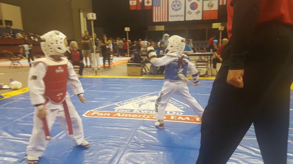 TIGER CHO’S BLACKBELT TAE-KWON-DO - Updated November 2024 - 527 N ...