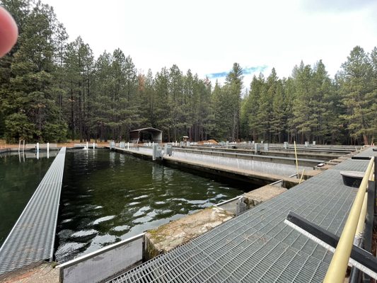 WIZARD FALLS TROUT HATCHERY - Updated August 2025 - 33 Photos & 10 ...