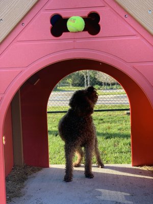 MAYOR ROSCOE WARREN MUNICIPAL PARK - 71 Photos & 12 Reviews - 1400 E ...