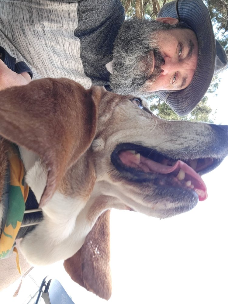 PAWSITIVE VIBES PET RETREAT - Updated December 2025 - 607 Aberdeen Rd ...