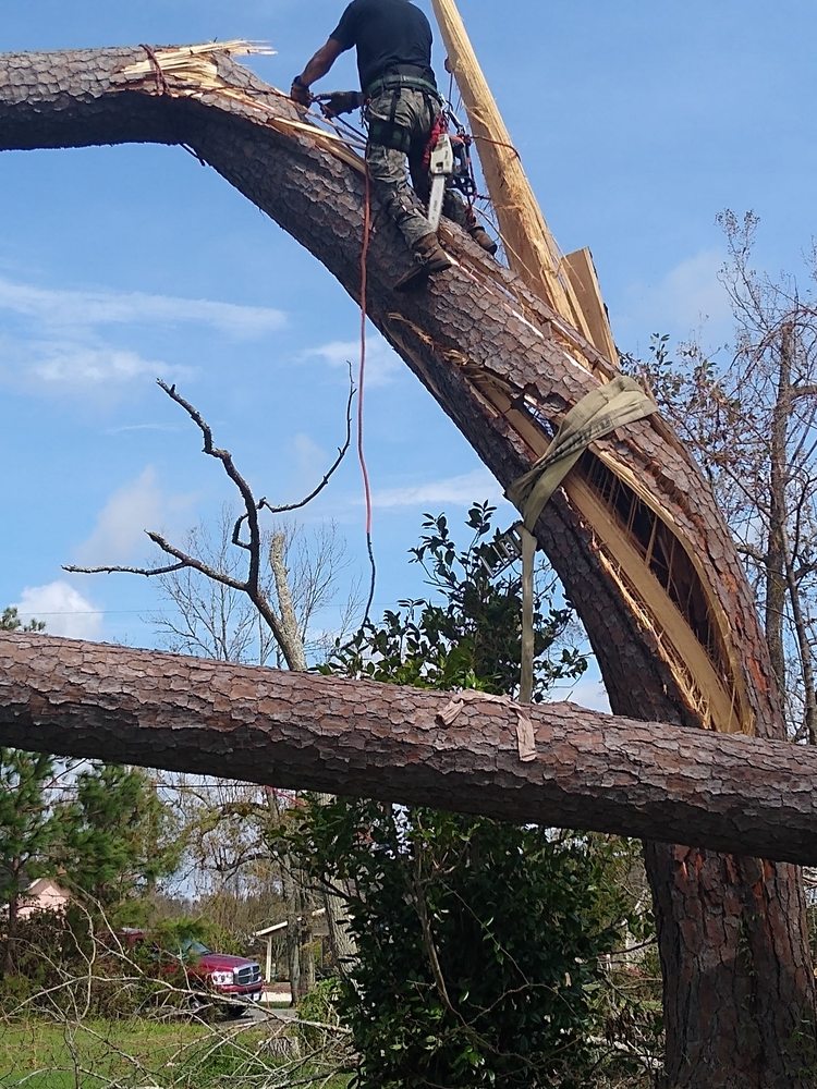 TIP TOP CRANE & TREE OF IOWA - Updated July 2024 - Cedar Rapids, Iowa ...