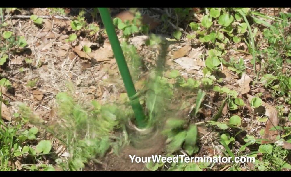 YOUR WEED TERMINATOR - Updated July 2024 - Shangri-la Pl, Pensacola ...