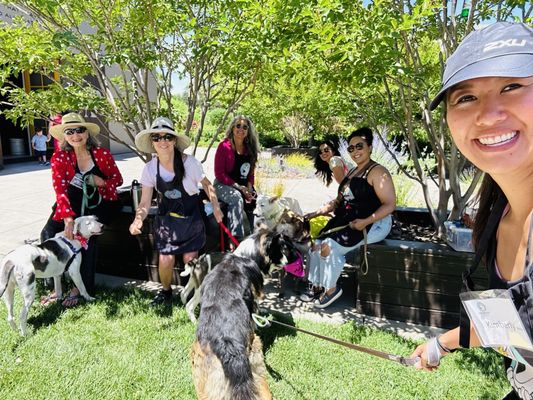 FAMILY DOG RESCUE - Updated January 2026 - 56 Photos - 1755 Napa Rd ...