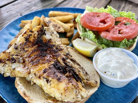 TURTLE SHACK - Updated January 2026 - 383 Photos & 520 Reviews - 101 ...