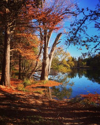 UTOPIA PARK LAKE DAM - 13 Photos - 241 Utopia Park Rd, Utopia, Texas ...