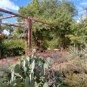 ABQ BIOPARK BOTANIC GARDEN - Updated December 2025 - 1307 Photos & 168 ...
