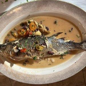 TARANTELLA RISTORANTE - Updated December 2025 - 129 Photos & 262 ...