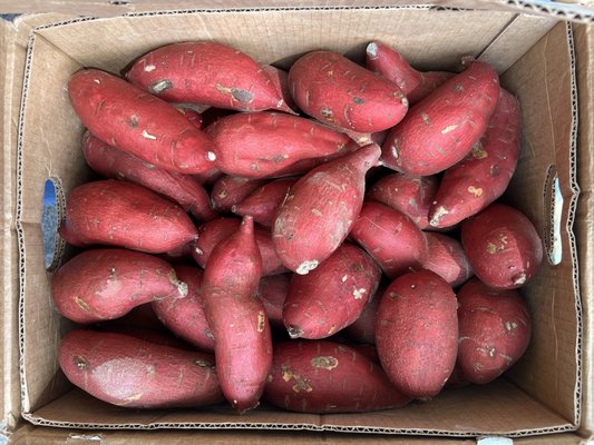 CHUN CHING MARKET - 63 Photos & 54 Reviews - 418 NW 8th Ave ...