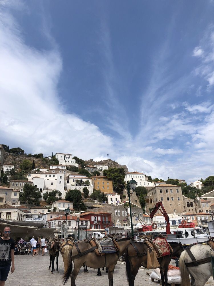 EF EDUCATIONAL TOURS - 52 Photos & 195 Reviews - 2 Education Cir ...