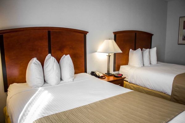 QUALITY INN - Updated July 2025 - 53 Photos & 25 Reviews - 30-03 40th ...