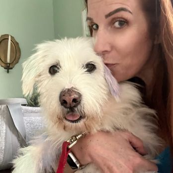 PET RESCUE - Updated December 2025 - 20 Reviews - 7 Harrison Ave ...