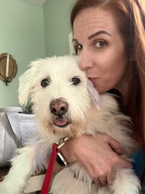 PET RESCUE - Updated December 2025 - 20 Reviews - 7 Harrison Ave ...