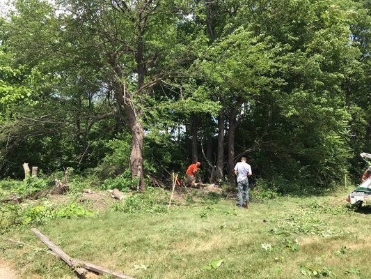 INDIANA TREE SERVICE - Updated October 2025 - 23 Photos & 10 Reviews ...